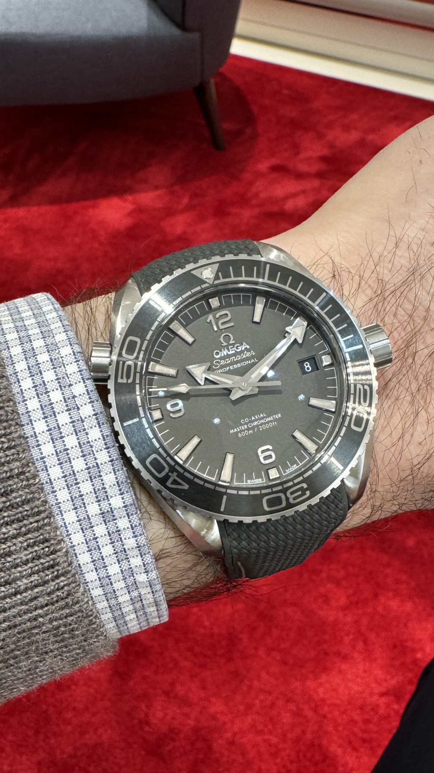 2024 Omega Planet Ocean: What to Expect — The English Watch
